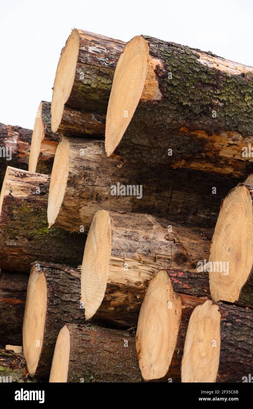 Germany german cross section hi-res stock photography and images - Alamy