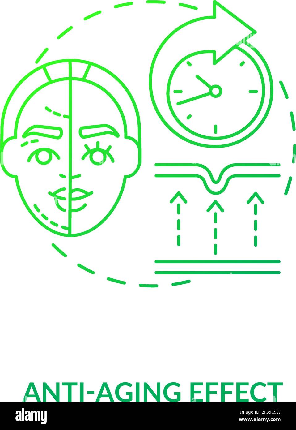 Anti aging effect dark green concept icon Stock Vector Image & Art - Alamy