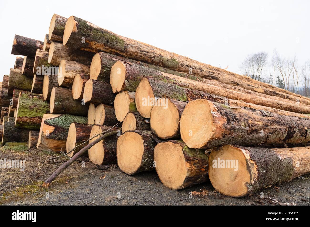 Germany German Cross Section High Resolution Stock Photography and ...