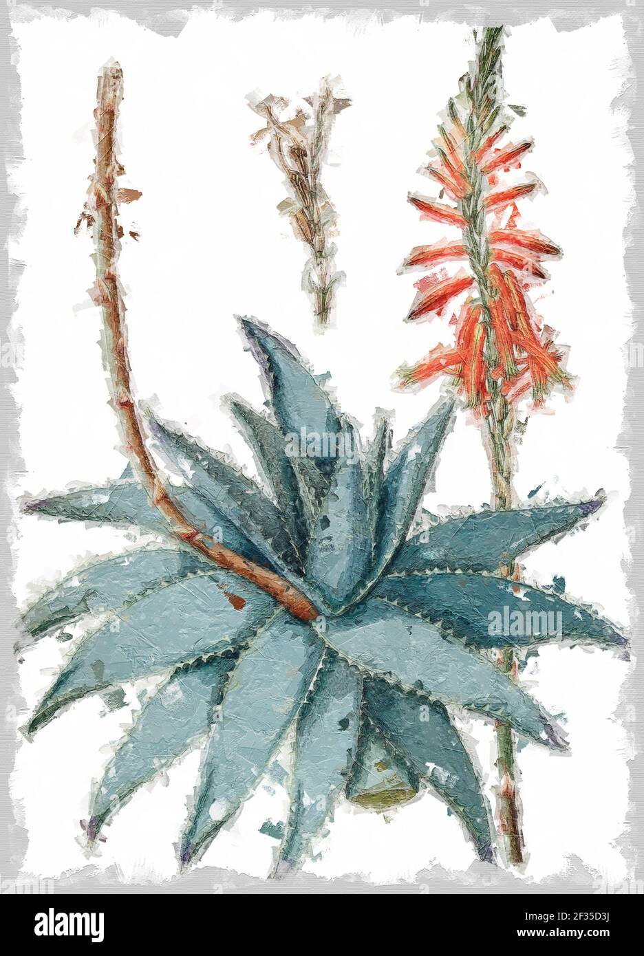 Hand anatomy artwork hi-res stock photography and images - Alamy