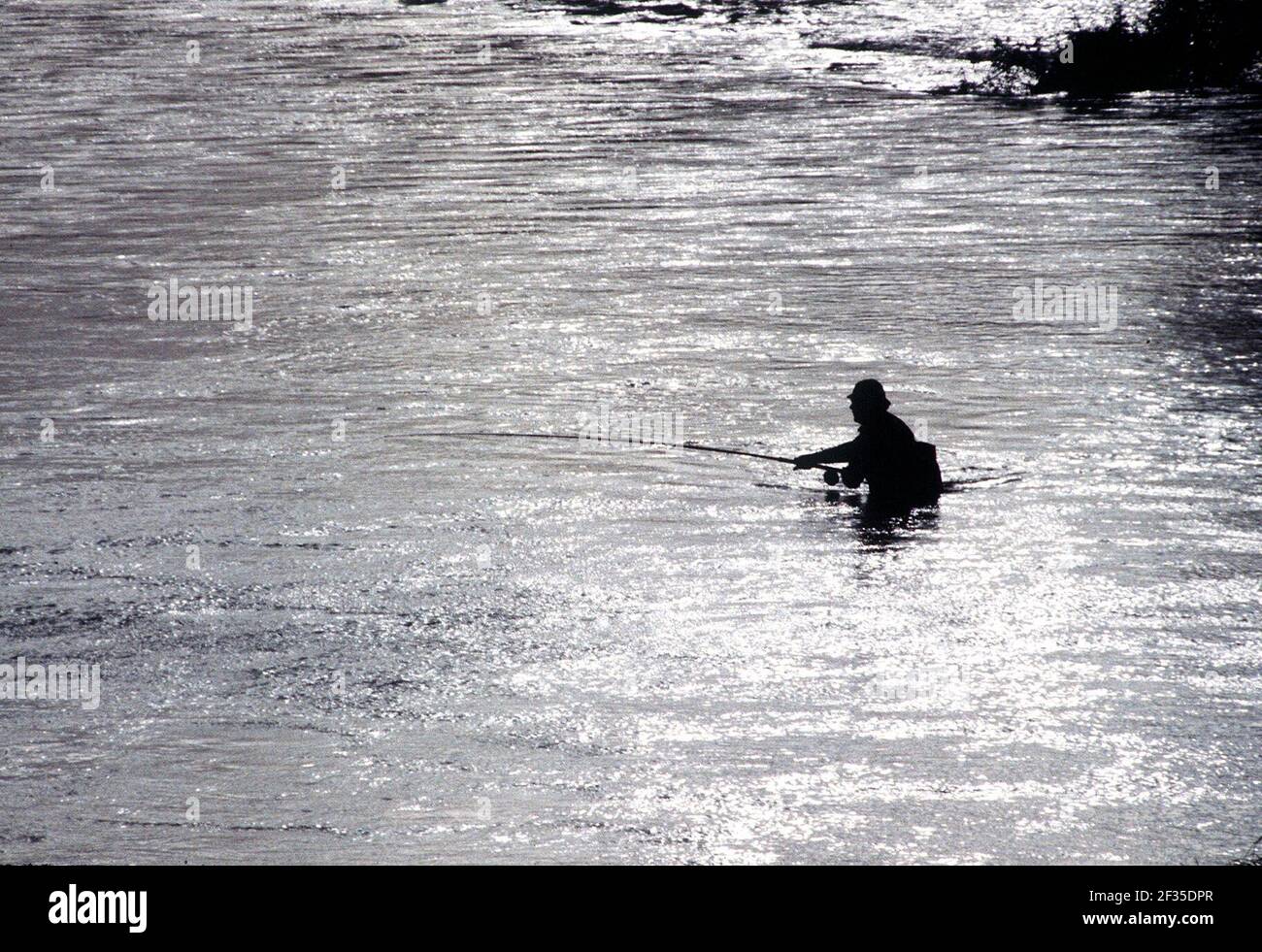 Salmon Fishing in Scotland 1998 on the River Stinchar Stock Photo - Alamy