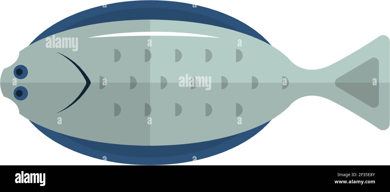 Halibut fish vector illustration isolated on white Stock Vector Image ...