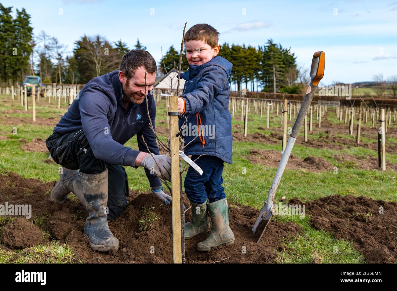 Sapling tree uk planting 2021 hi-res stock photography and images - Alamy
