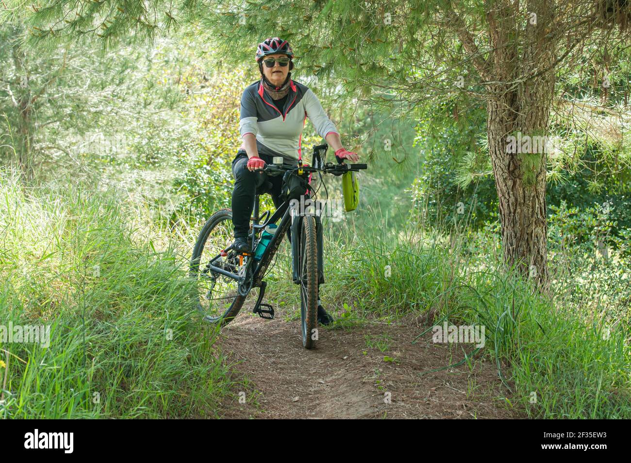 female cyclist cycling in nature on a single track path in a forest ...