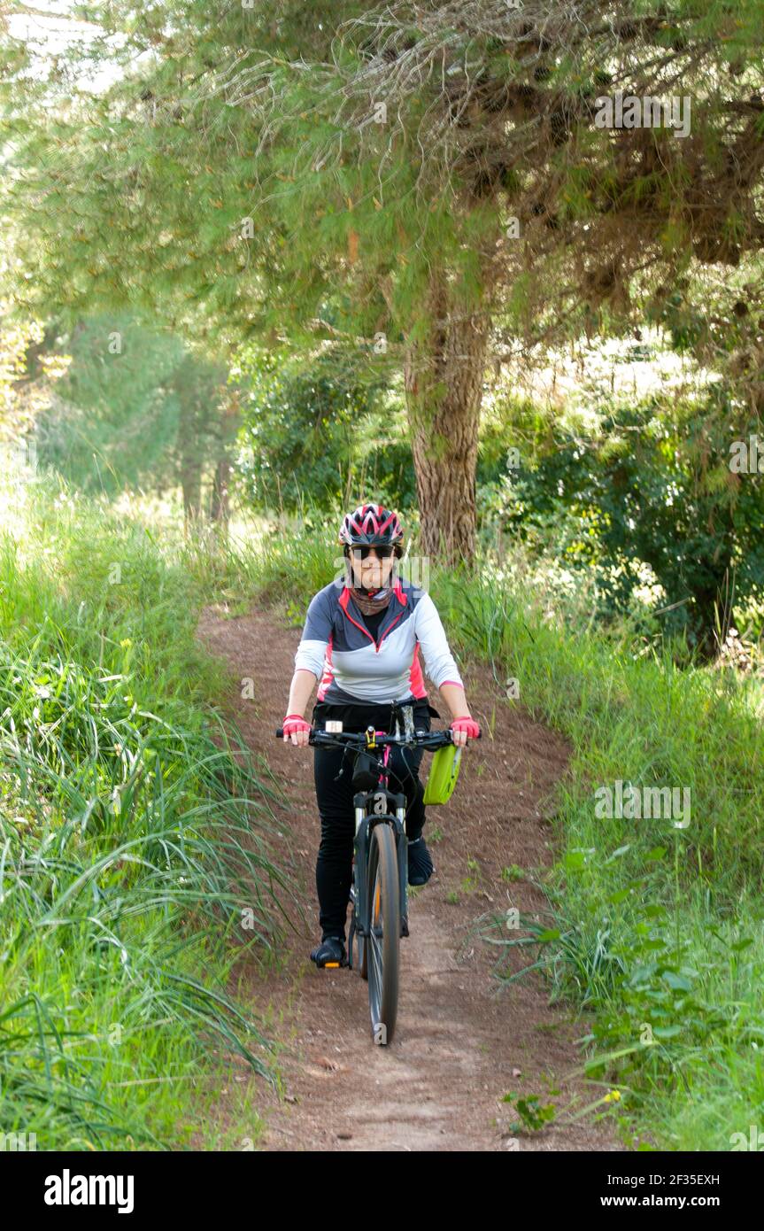 female cyclist cycling in nature on a single track path in a forest ...