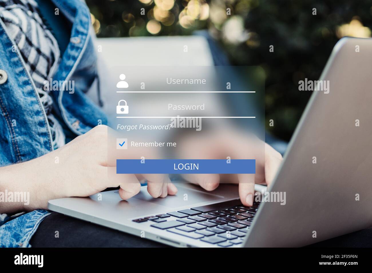 Concept of authorization to a website on the Internet with a username ...