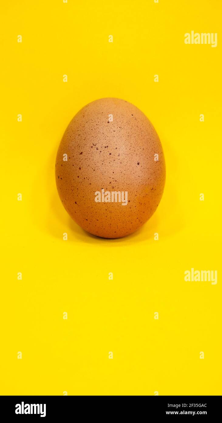 Egg on the yellow background in center. Negative space for text ...