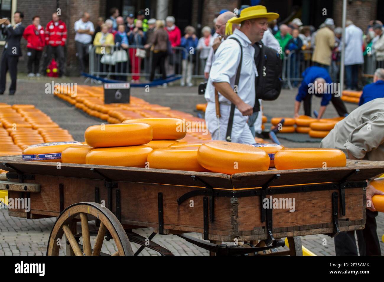Gouda cheese wheel hi-res stock photography and images - Alamy