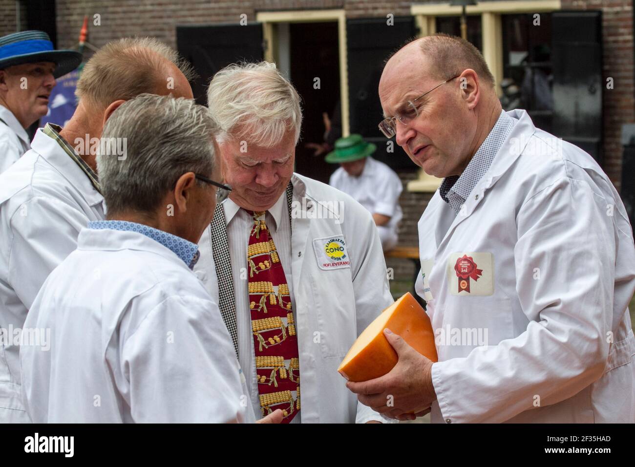 Cheese Inspector Testing A Cheese Wheel, Alkmaar, Netherlands Stock ...