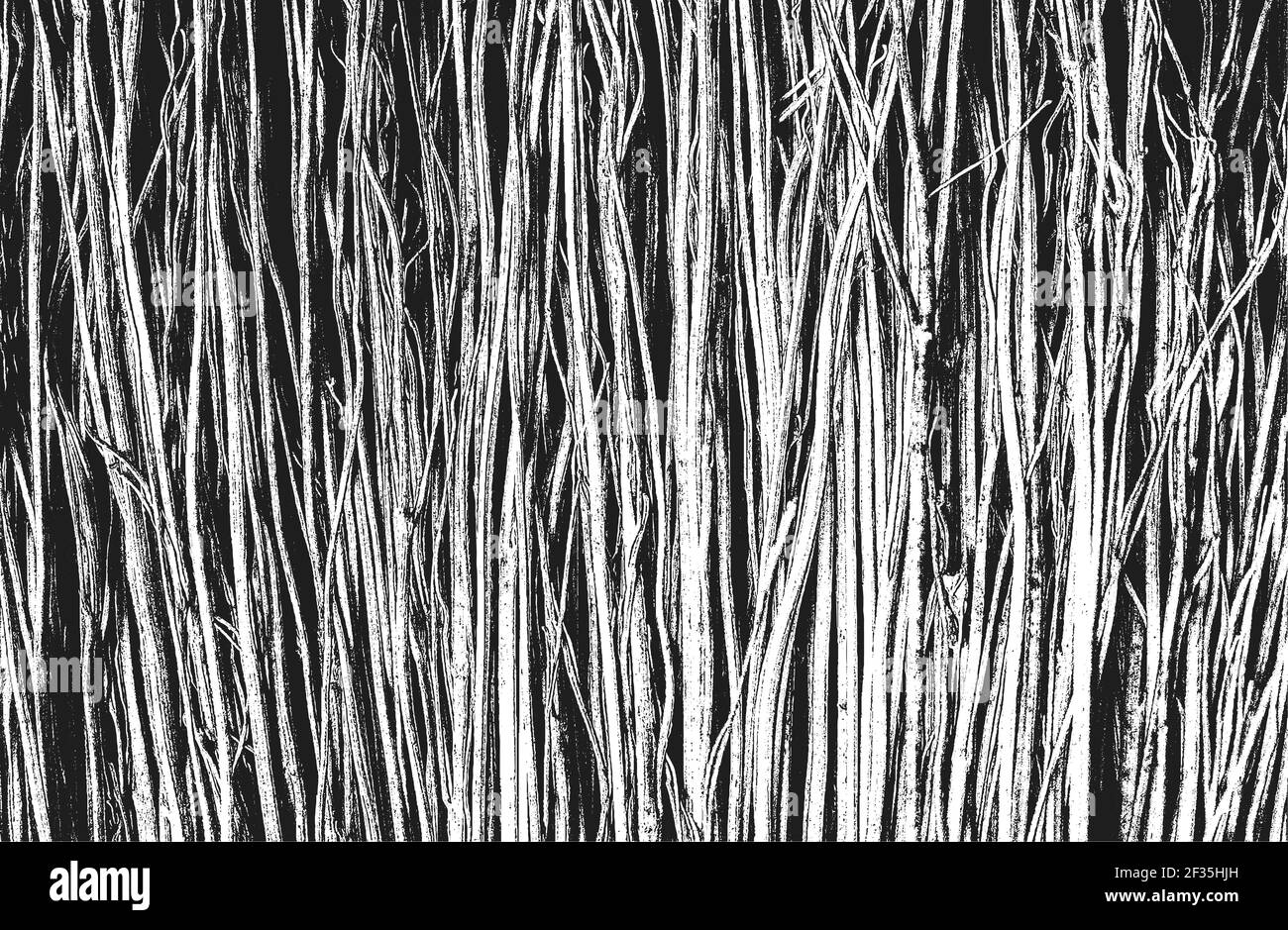 Distressed overlay grass stem texture on the ground. grunge black and ...