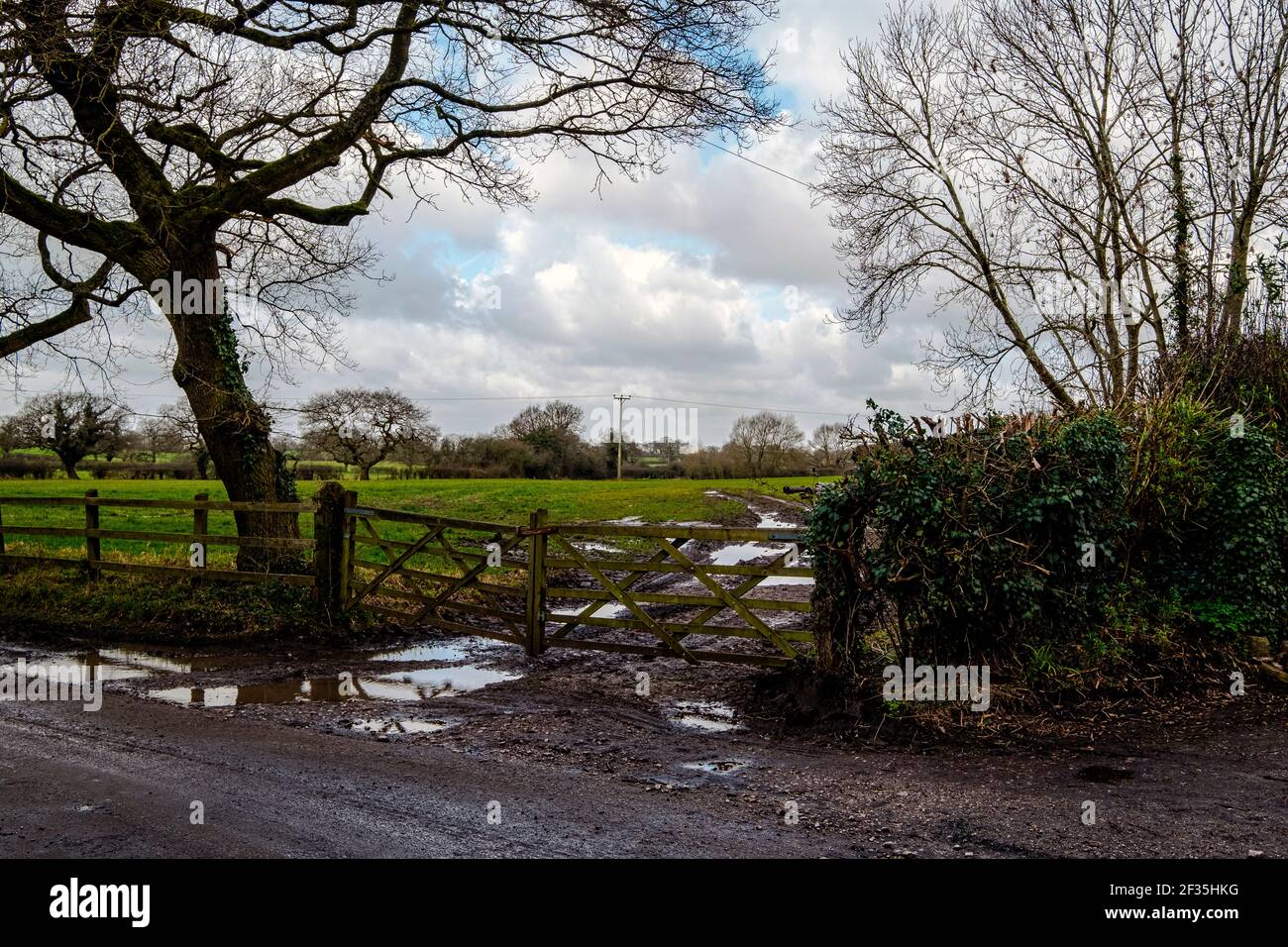 Logged land hi-res stock photography and images - Alamy