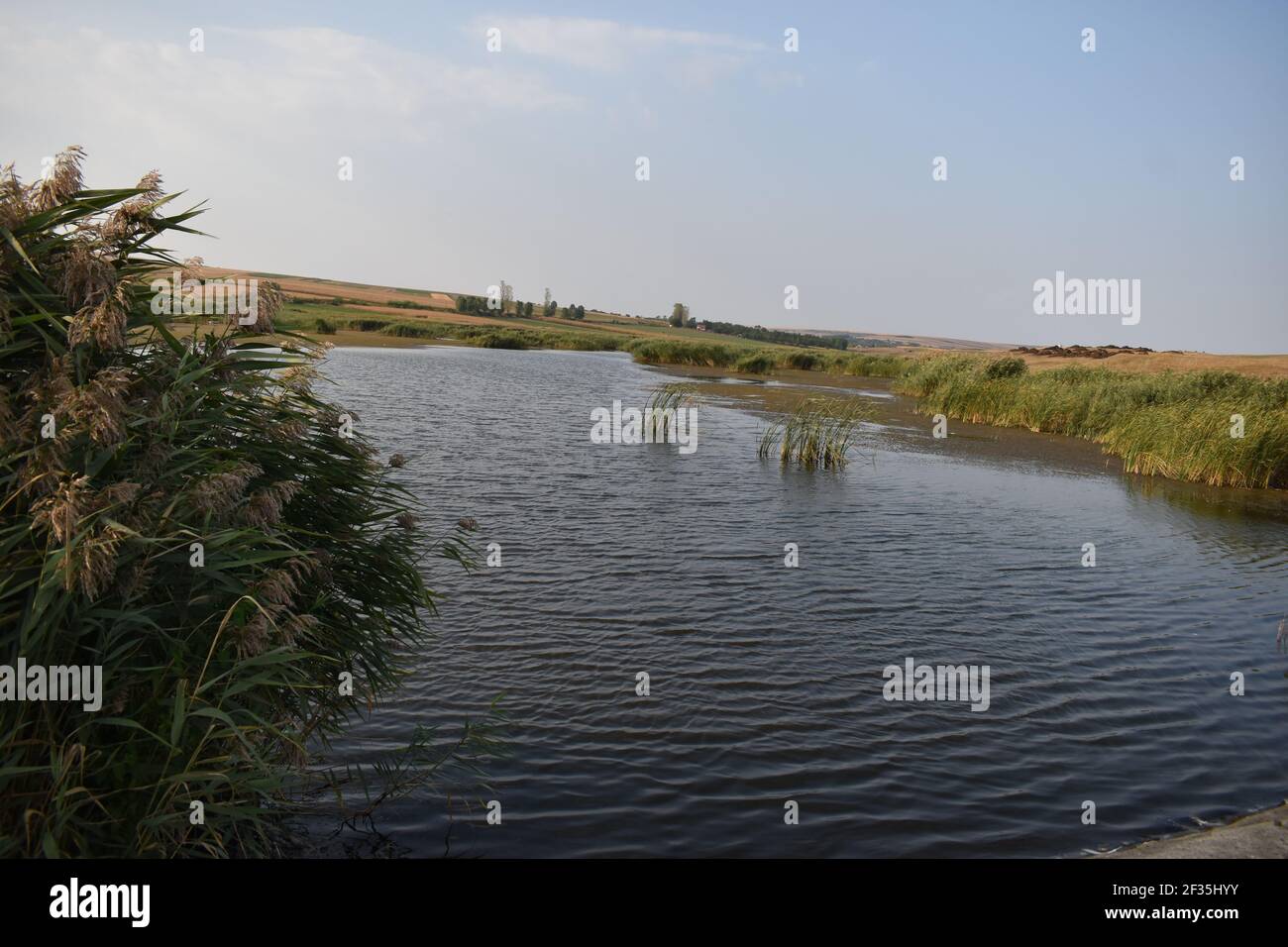 Fish farm in a village Stock Photo - Alamy