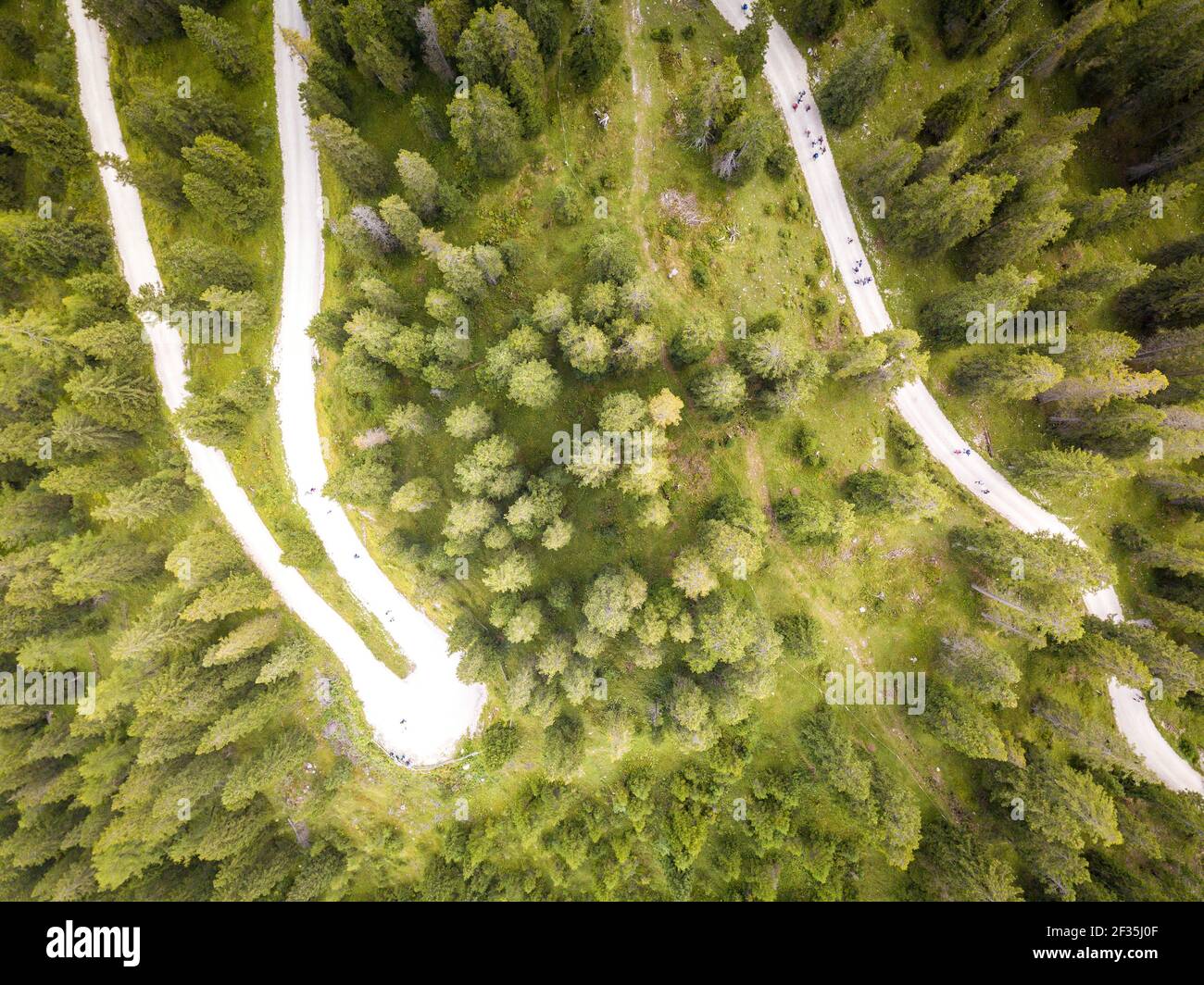 Top down view on people walking on pathway winding uphill in forest ...