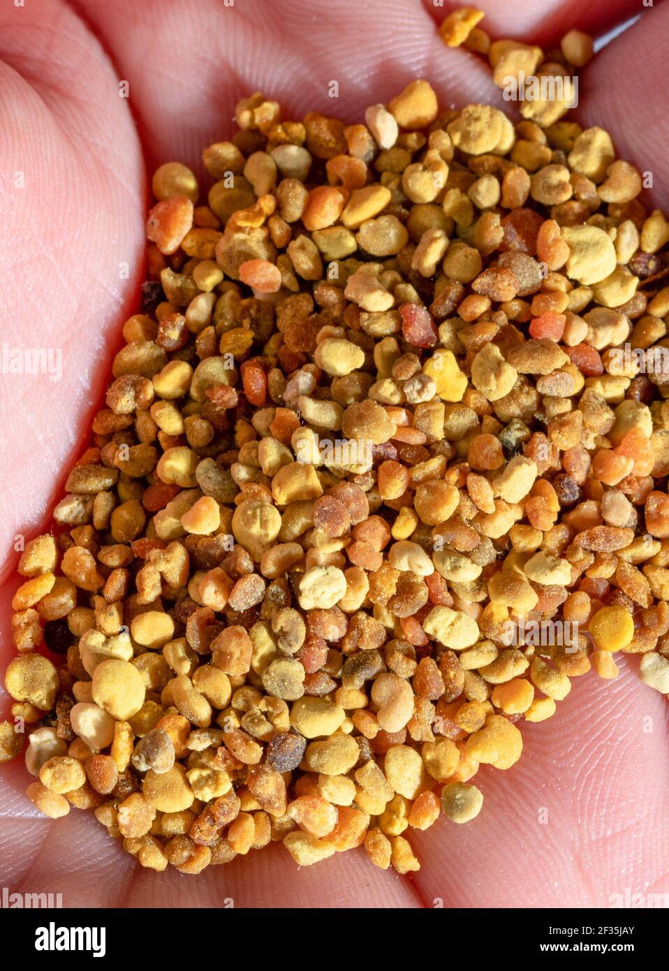 Hand pollen hi-res stock photography and images - Alamy