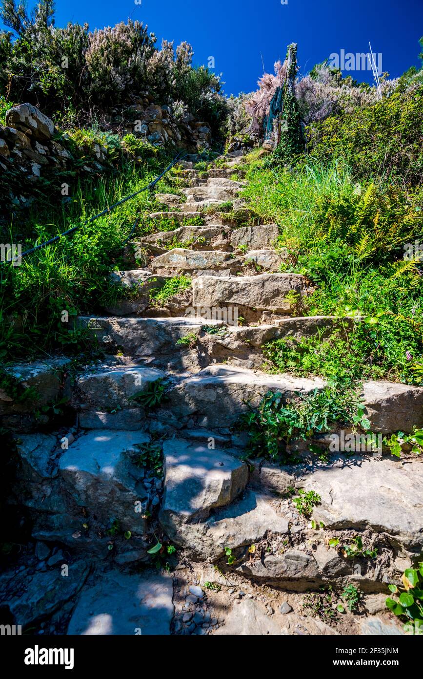 Stairs to nature hi-res stock photography and images - Alamy