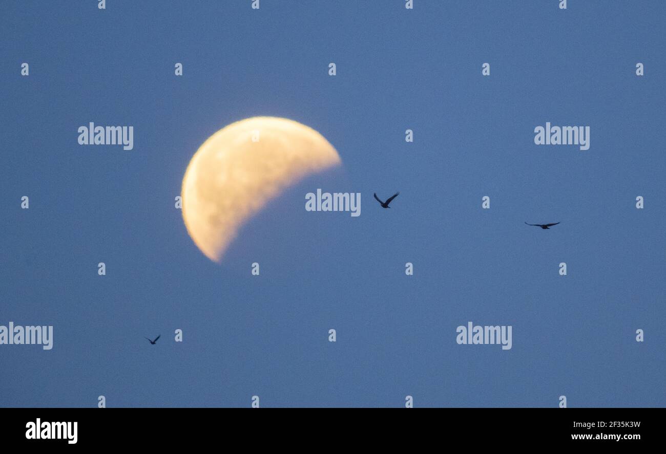 A beautiful scenery of lunar eclipse Stock Photo - Alamy