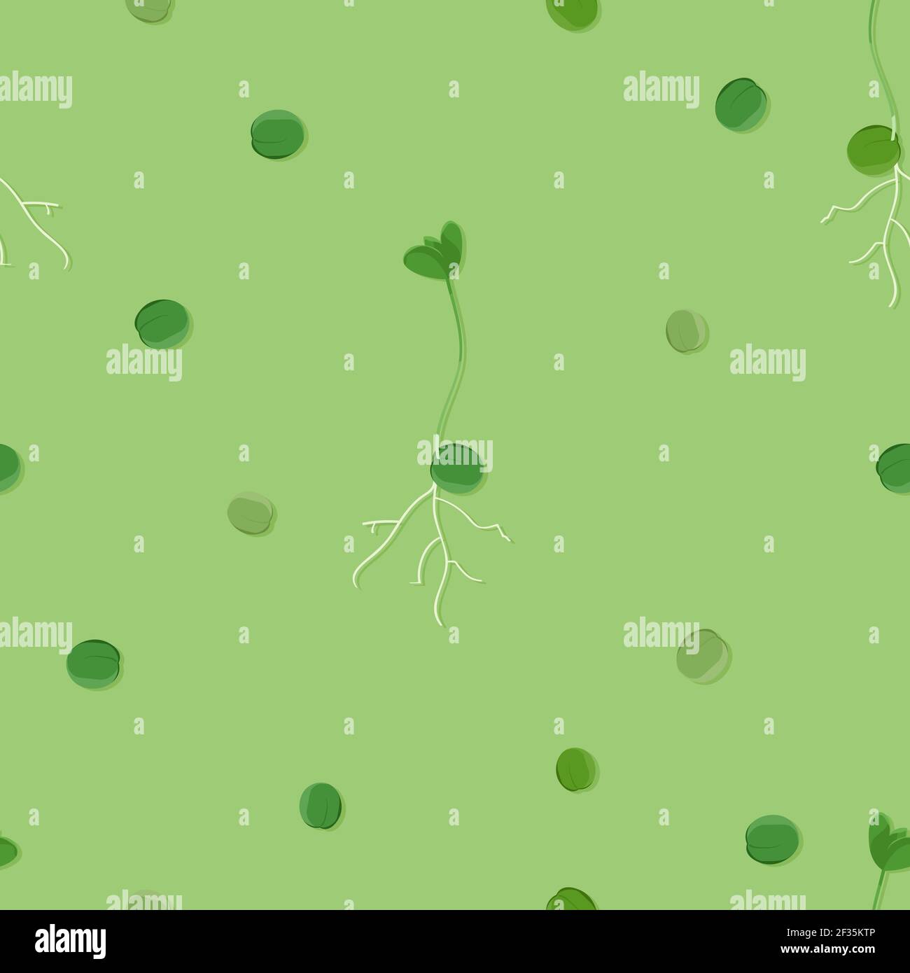 Pea seedling Stock Vector Images - Alamy