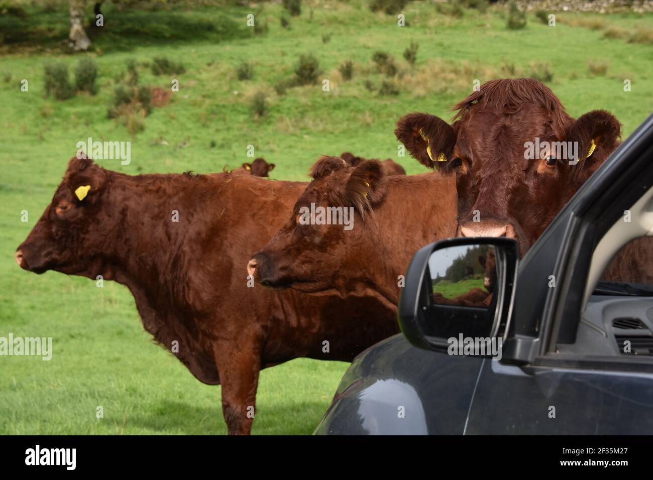 Stewart macpherson hi-res stock photography and images - Alamy