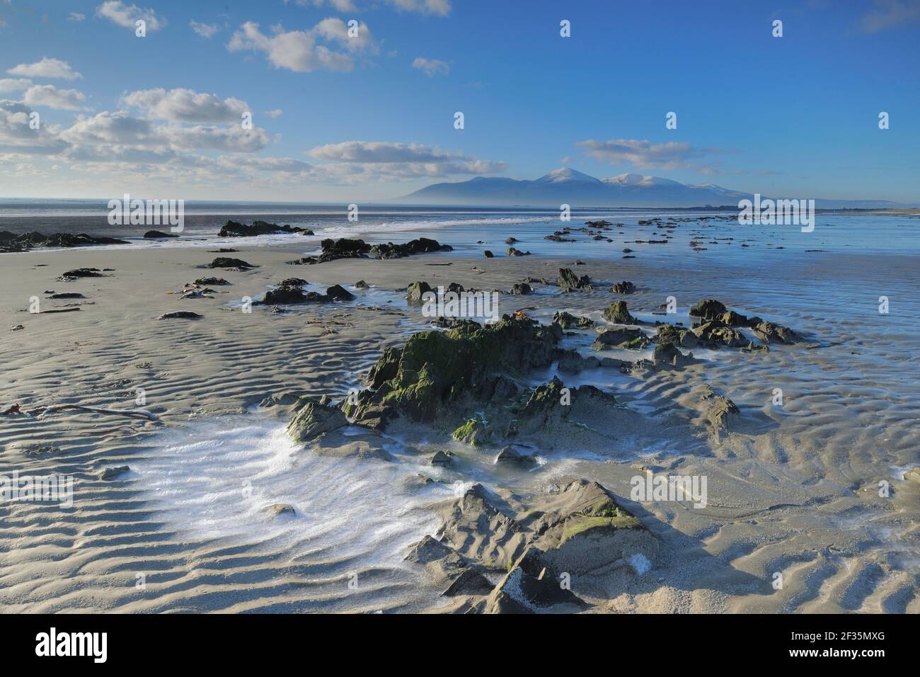 North end of Tyrella Beach, with Mourne Mountains at Tyrella, County ...