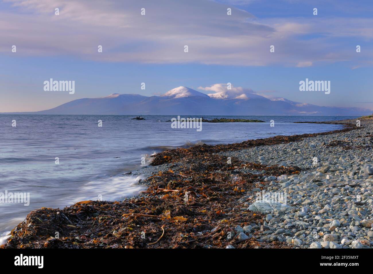 Lecale coast hi-res stock photography and images - Alamy