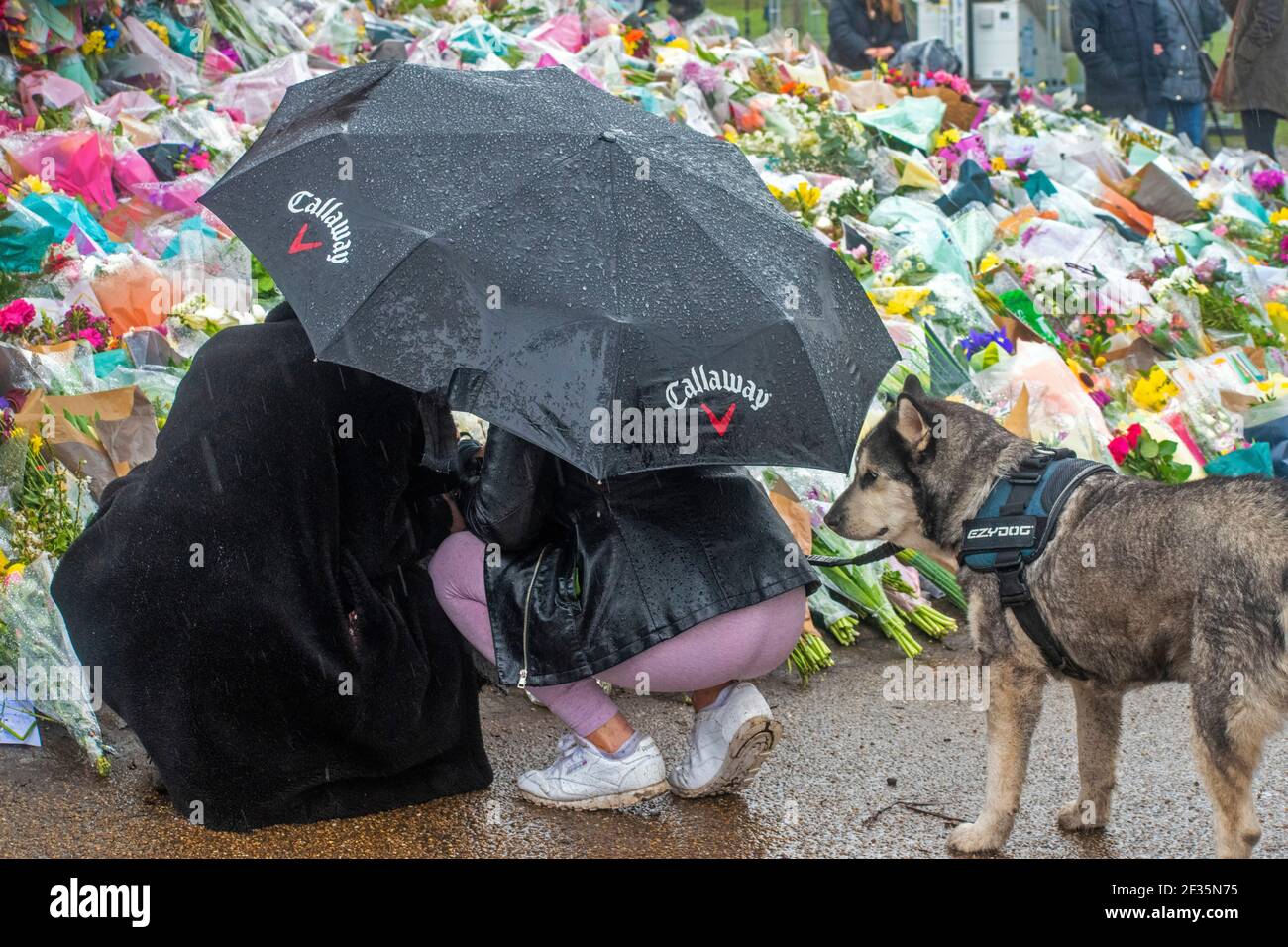 London, UK. 15th Mar, 2021. Tributes to Sarah Everard at Clapham Common ...