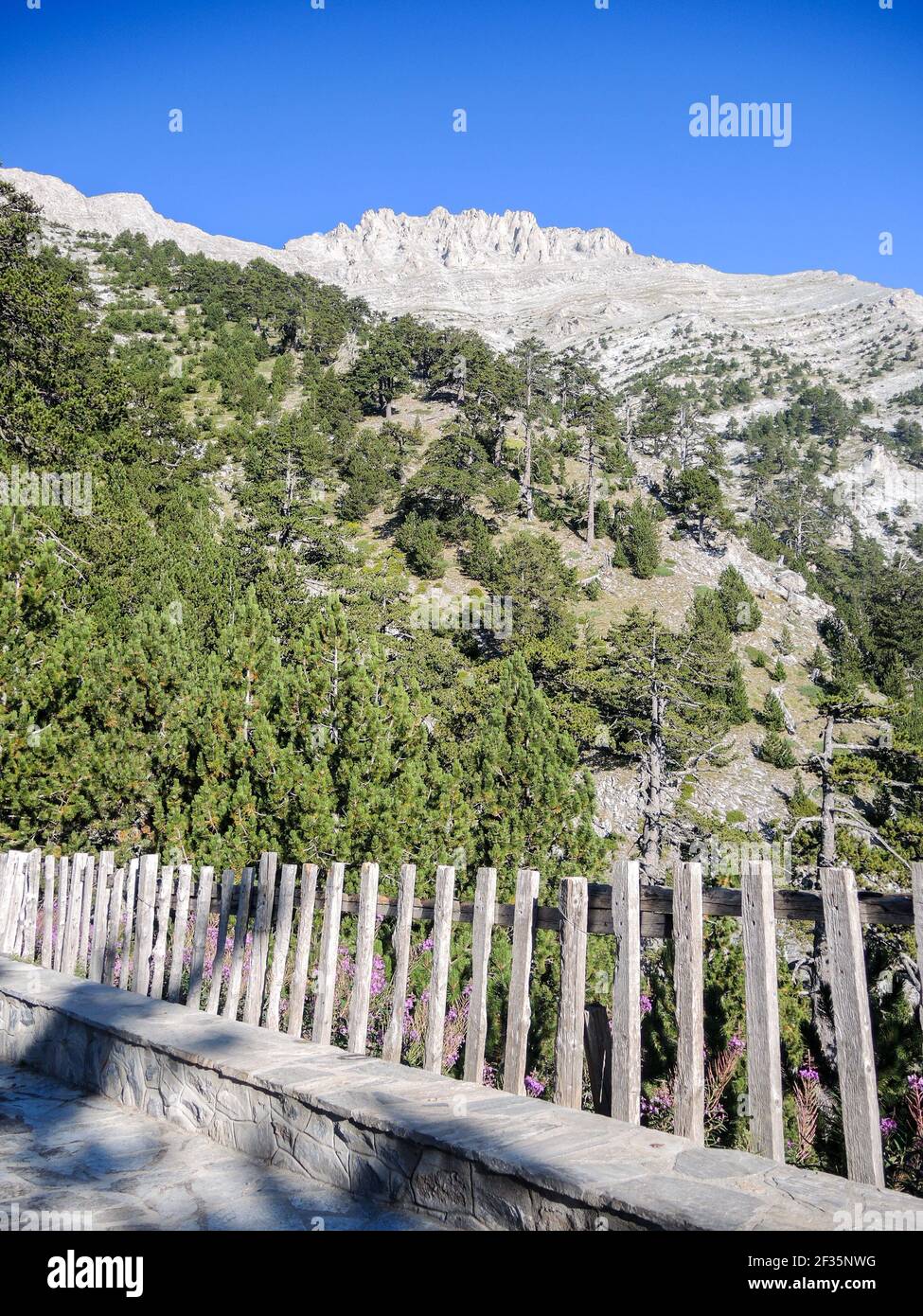 Mytikas peak hi-res stock photography and images - Alamy