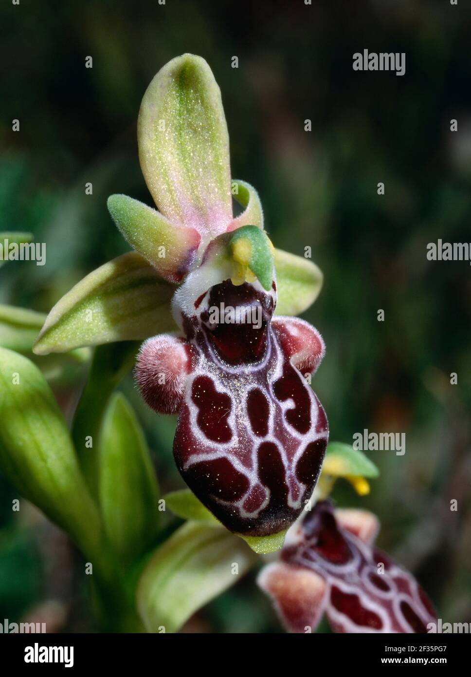 B1084 hi-res stock photography and images - Alamy