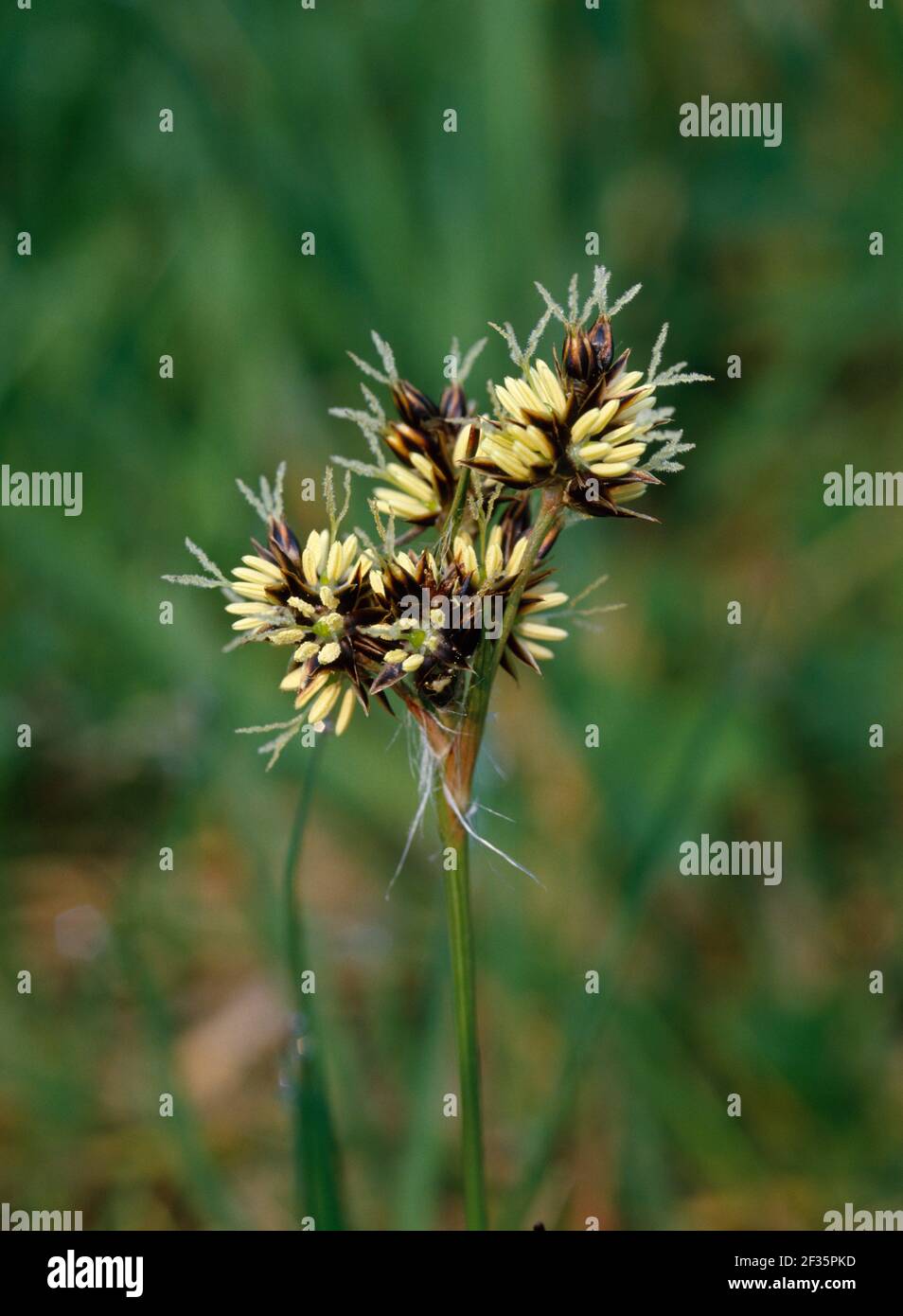 South armagh hi-res stock photography and images - Alamy
