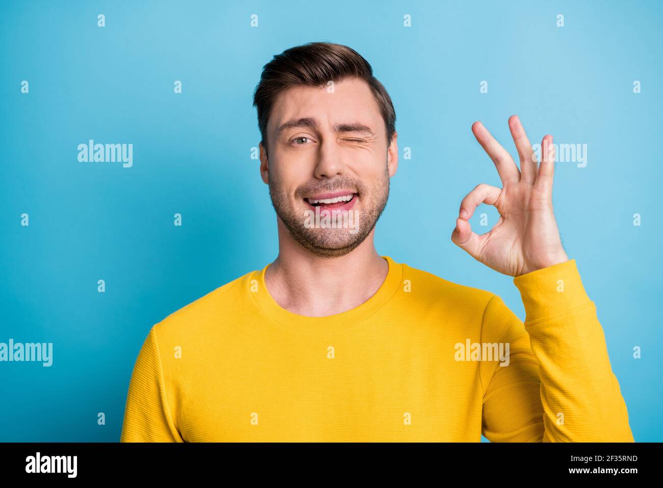 Portrait of attractive cheerful content guy showing ok-sign ad advert ...