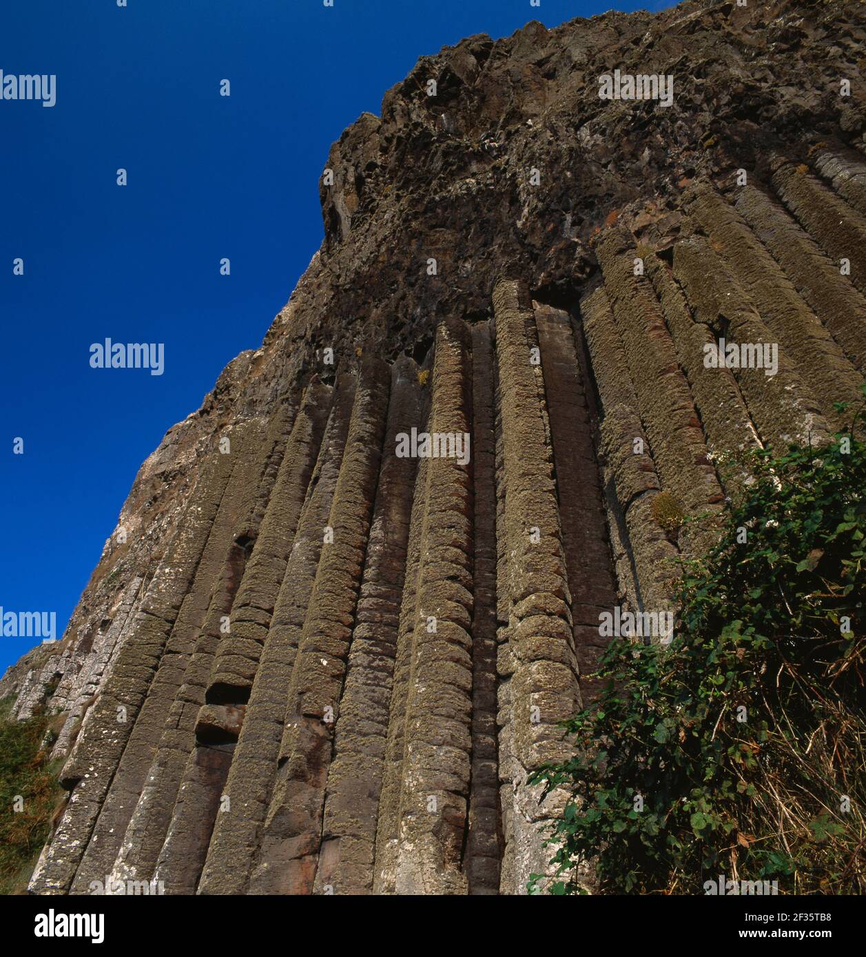 GIANT'S ORGAN basalt columns UNESCO World Heritage Site Giant's ...