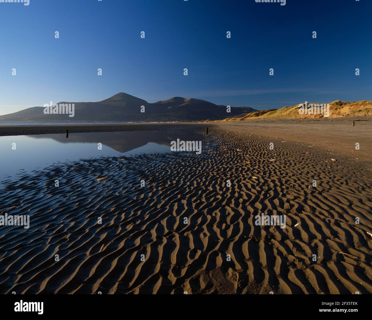 MOURNE MOUNTAINS view fom Murlough NNR, Dundrum Down (National Trust ...