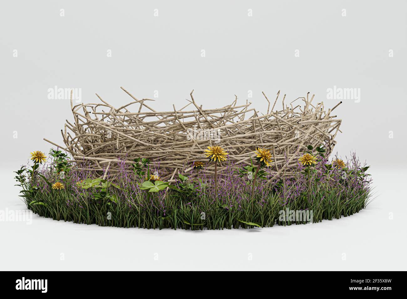nest isolated on white background 3d illustration Stock Photo - Alamy