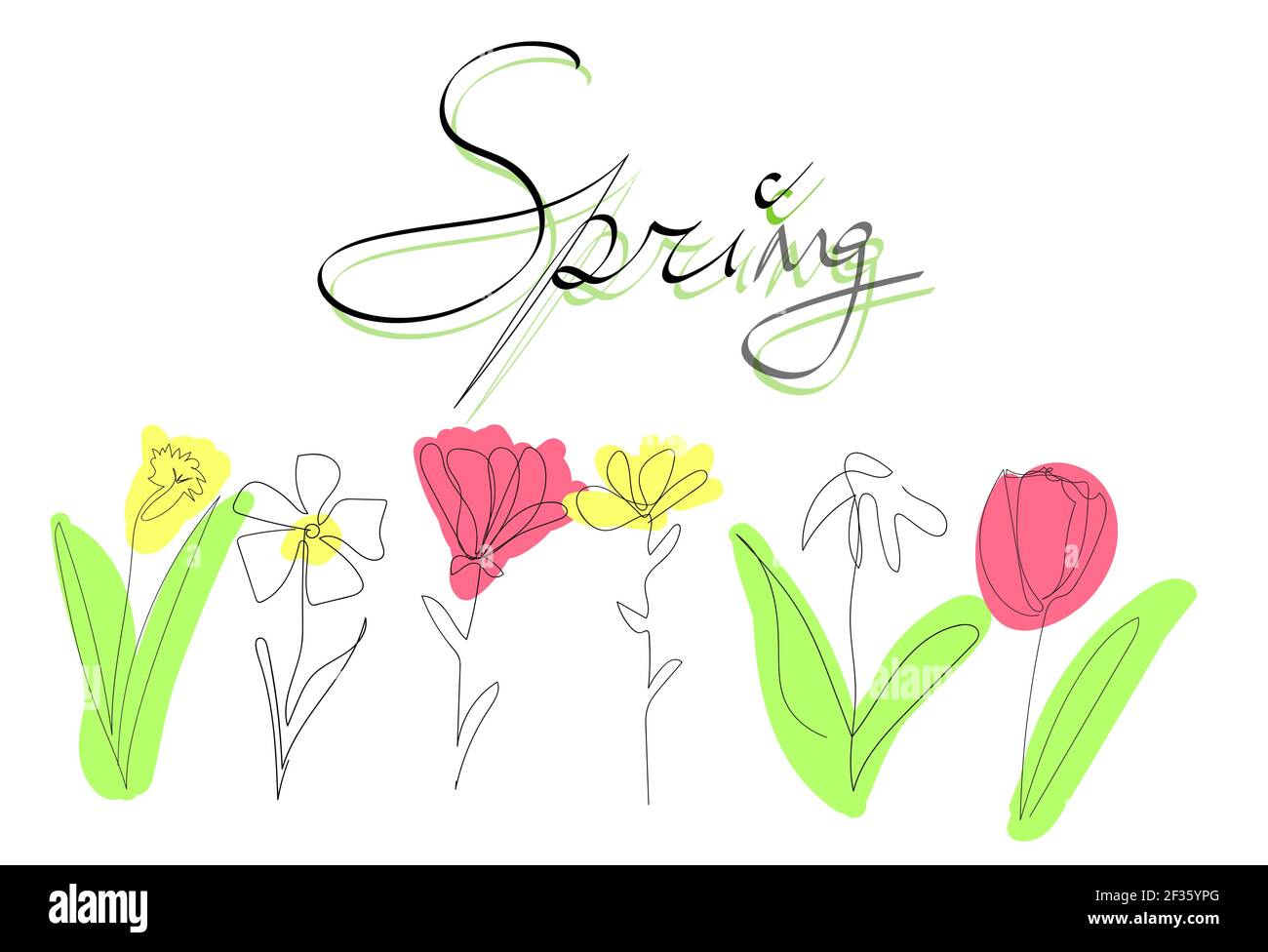 postcard spring flowers one line. hand drawing minimal colored vector ...