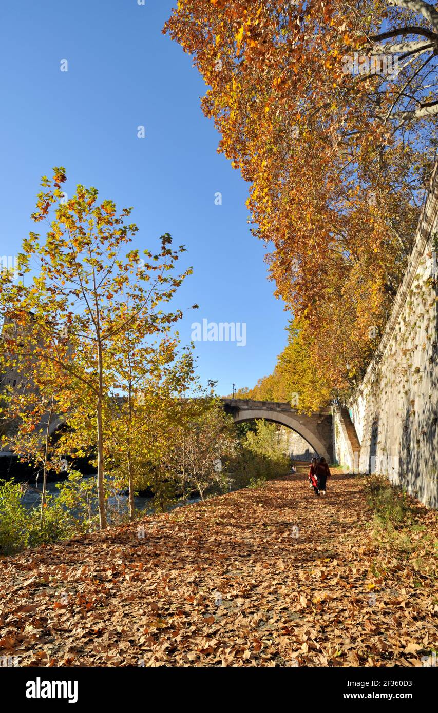 Autumn leaves rome hi-res stock photography and images - Alamy