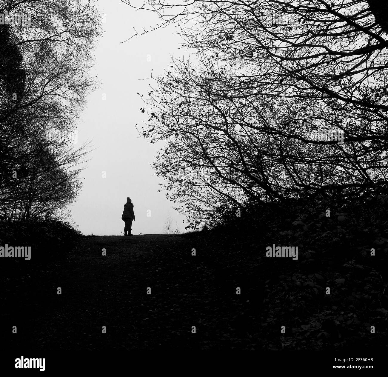 Trees surounding hi-res stock photography and images - Alamy