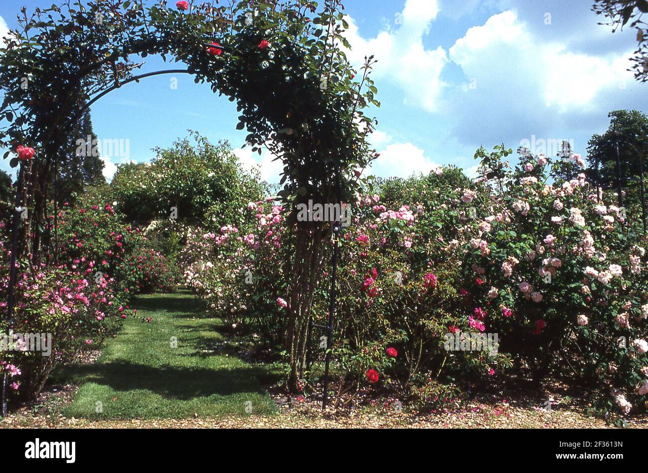 Flowers and critters on flowers Stock Photo - Alamy