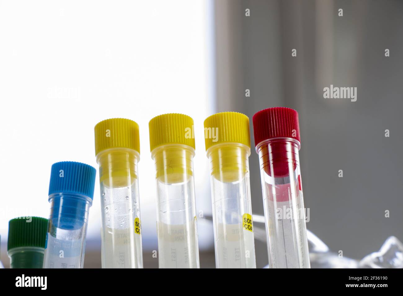 The colorful medical empty test tubes on a container on a blurred ...