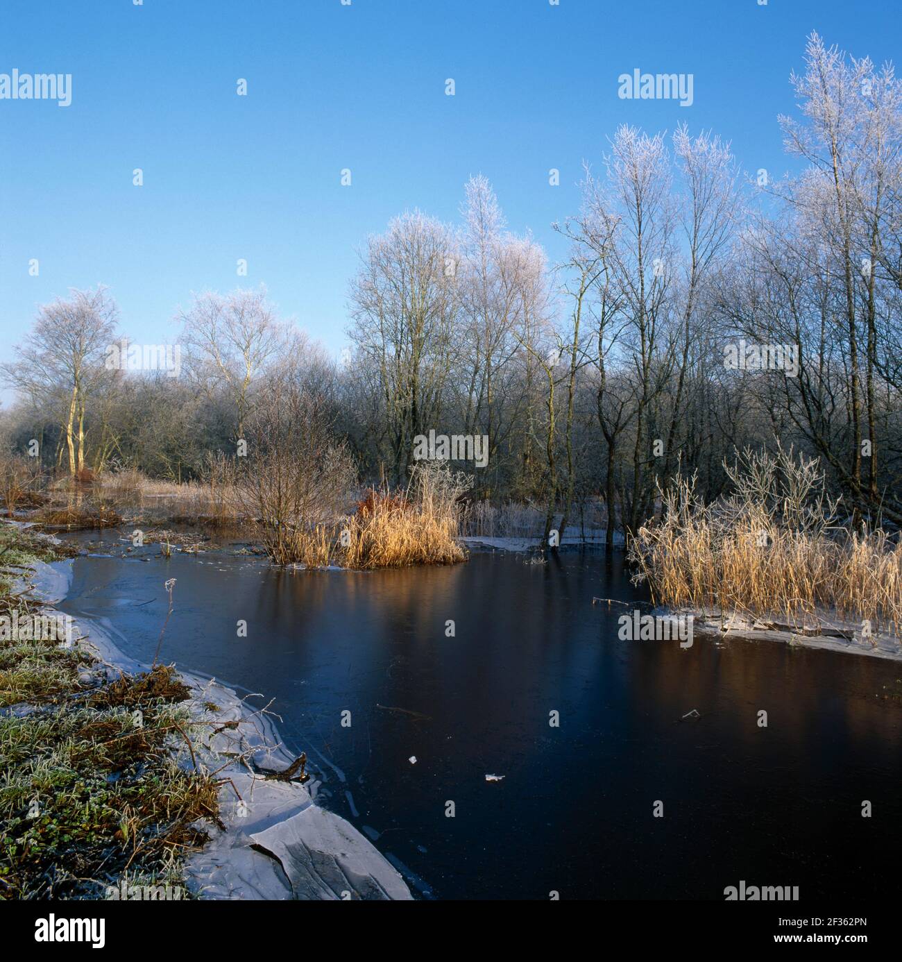 Brackagh moss hi-res stock photography and images - Alamy