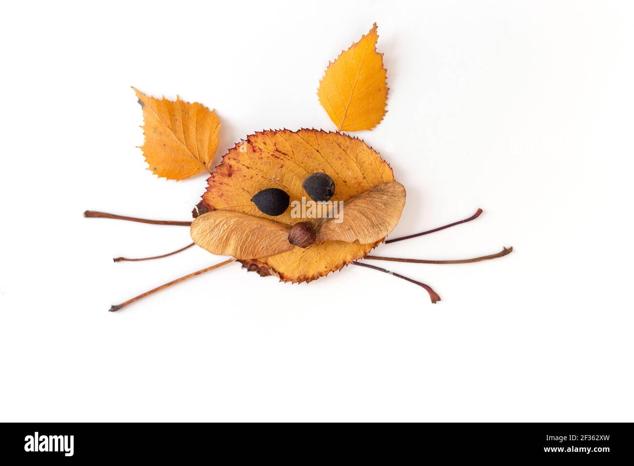 leaf animals clip art, diy, land art and fall activities with ...