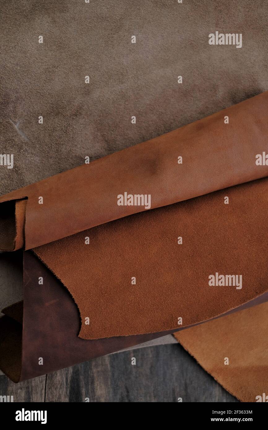 Leather manufacturing hi-res stock photography and images - Alamy
