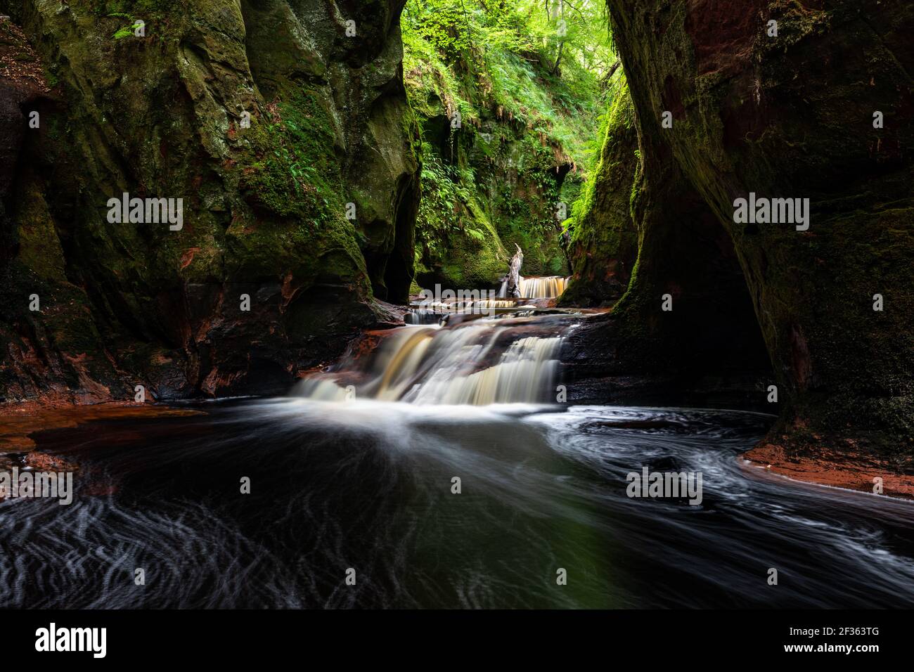 The devil’s Pulpit in Finnich Glen, Scotland Stock Photo - Alamy