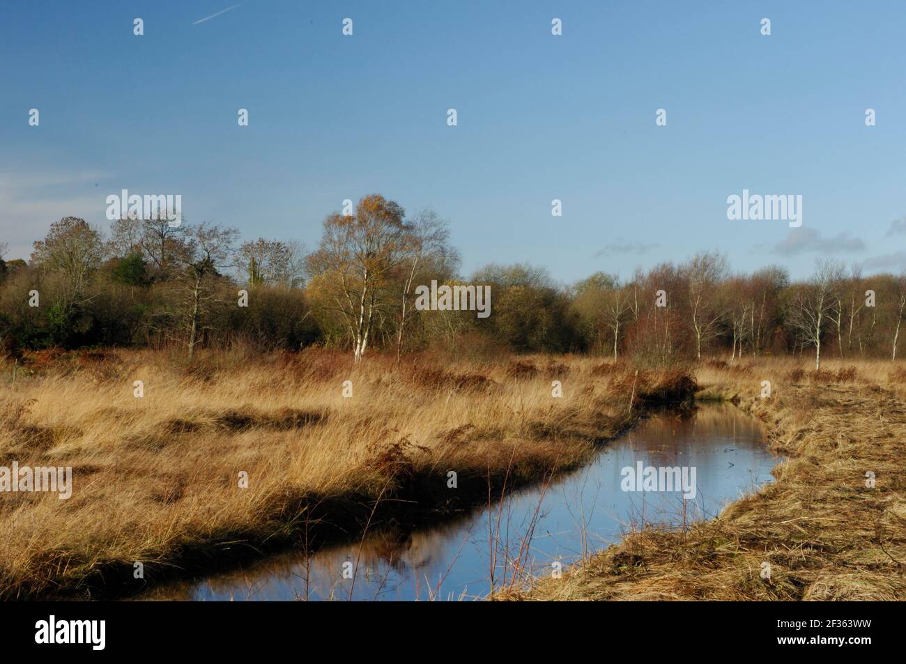 Irish bog pool pools ireland hi-res stock photography and images - Alamy