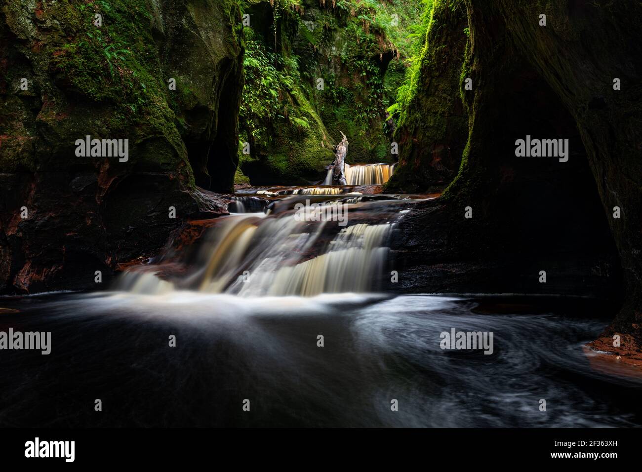 The devil’s Pulpit in Finnich Glen, Scotland Stock Photo - Alamy