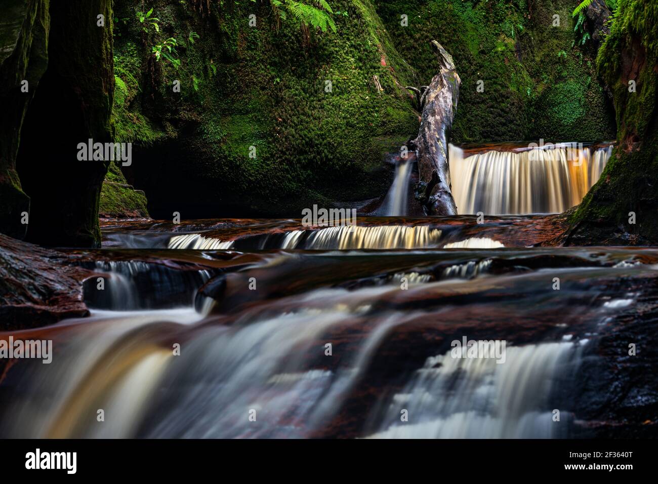 The devil’s Pulpit in Finnich Glen, Scotland Stock Photo - Alamy