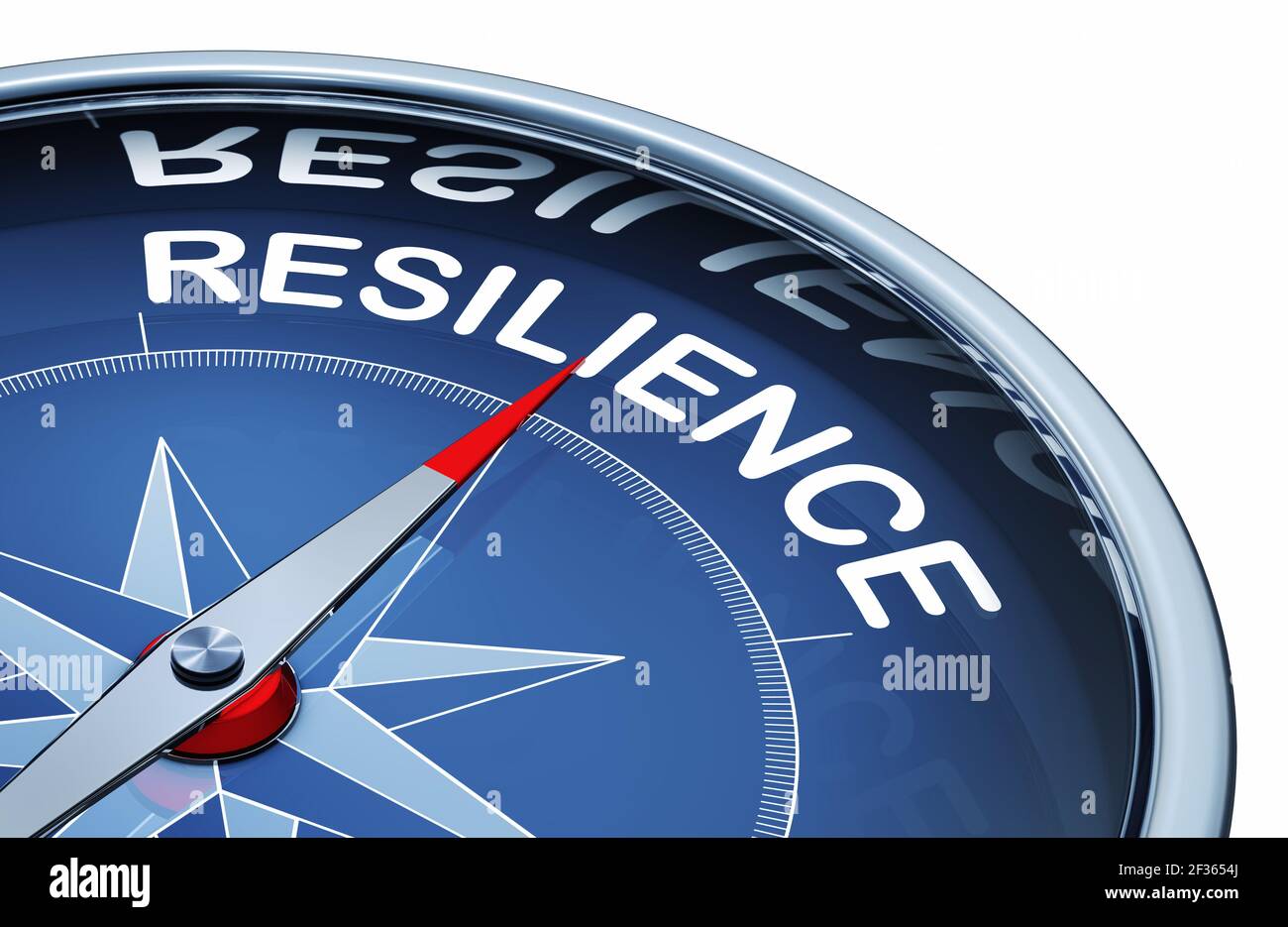 3D illustration of an compass with the word resilience Stock Photo - Alamy