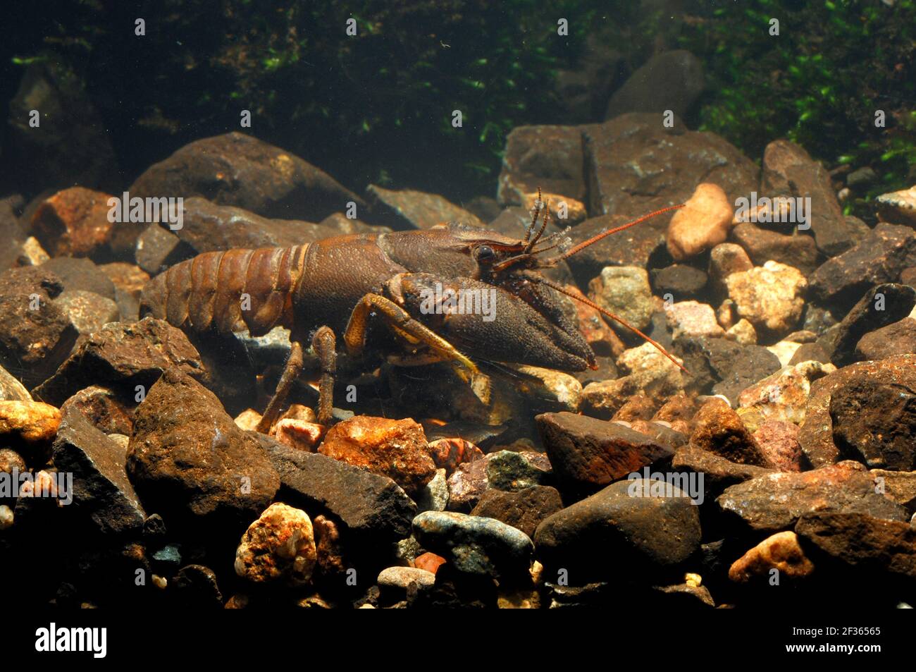 Tyrone ballinderry river hi-res stock photography and images - Alamy