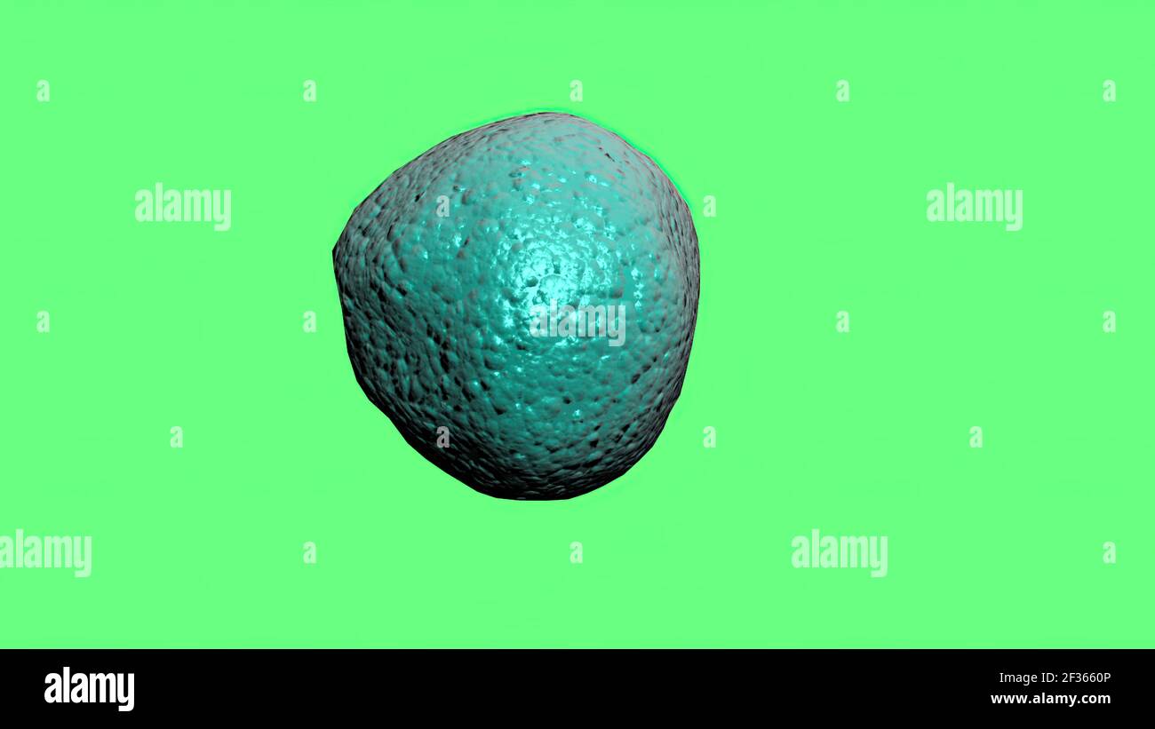 Anatomy green screen hi-res stock photography and images - Alamy