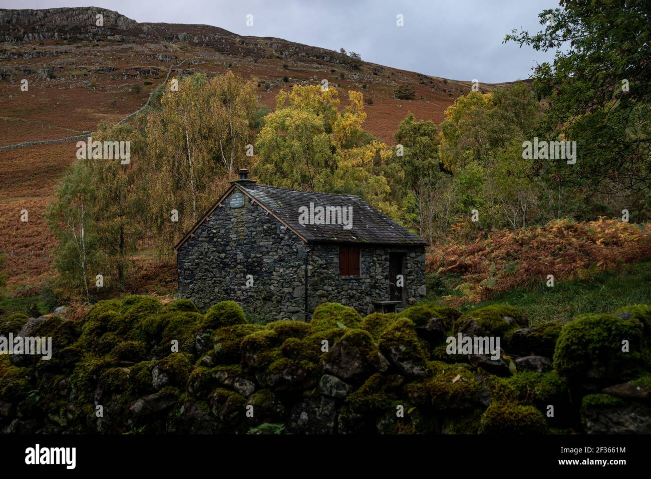 The Bark House Mounting Base surround by the autumn colours just ...