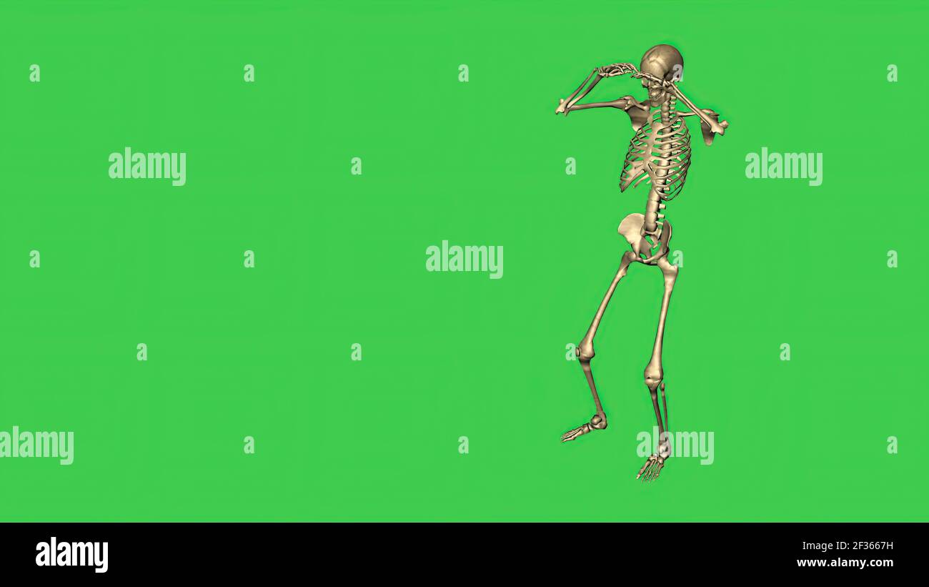 3D illustration - skeleton watch with binoculars-separate on green ...