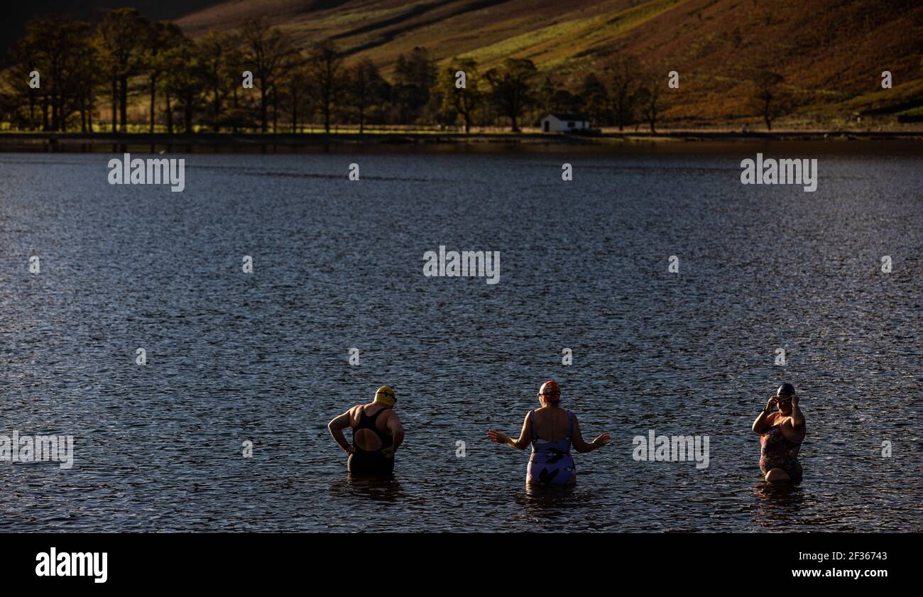 3 locals taking an early morning swim in lake Buttermere in the Lake ...